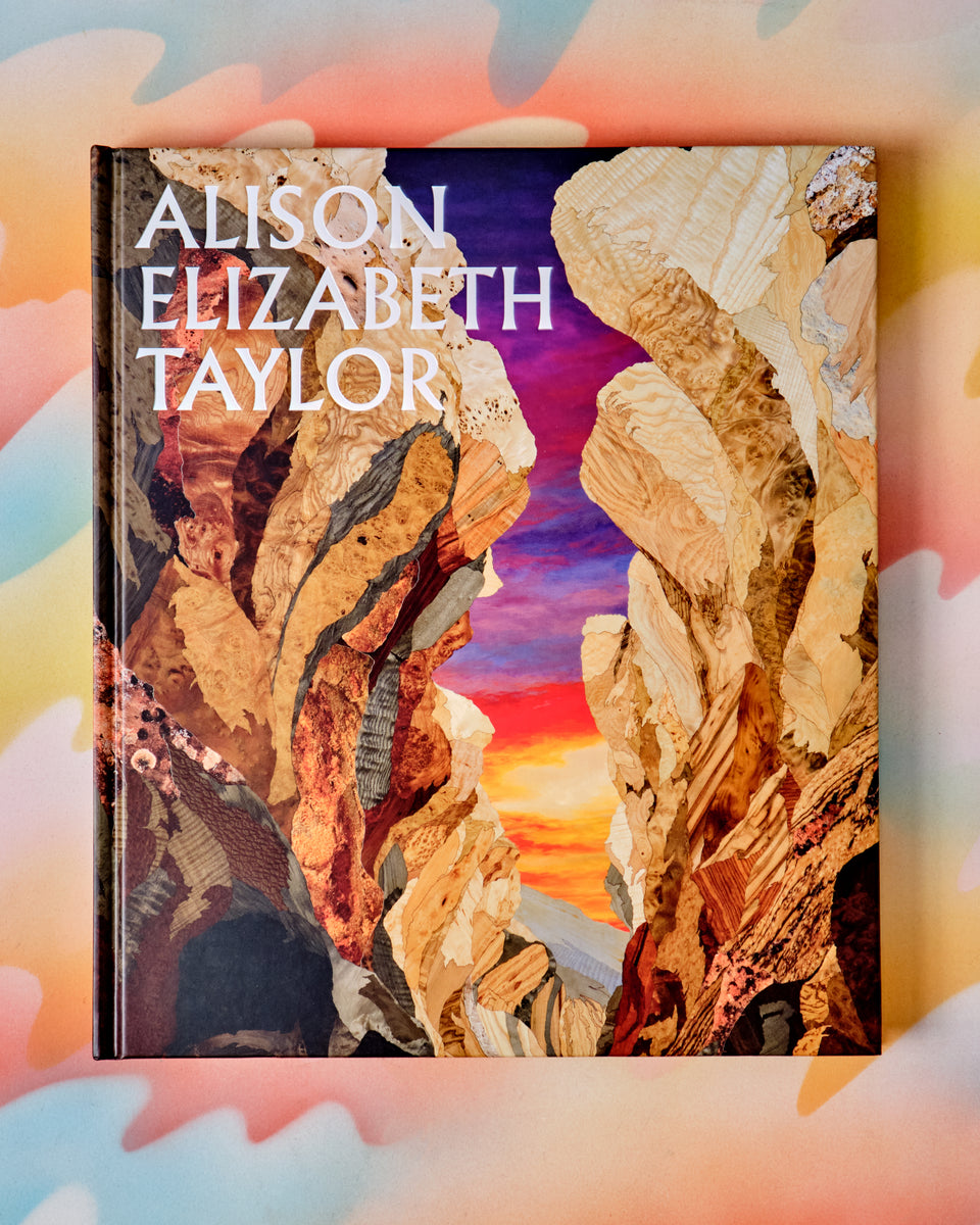 Alison Elizabeth Taylor: The Sum of It – Crush