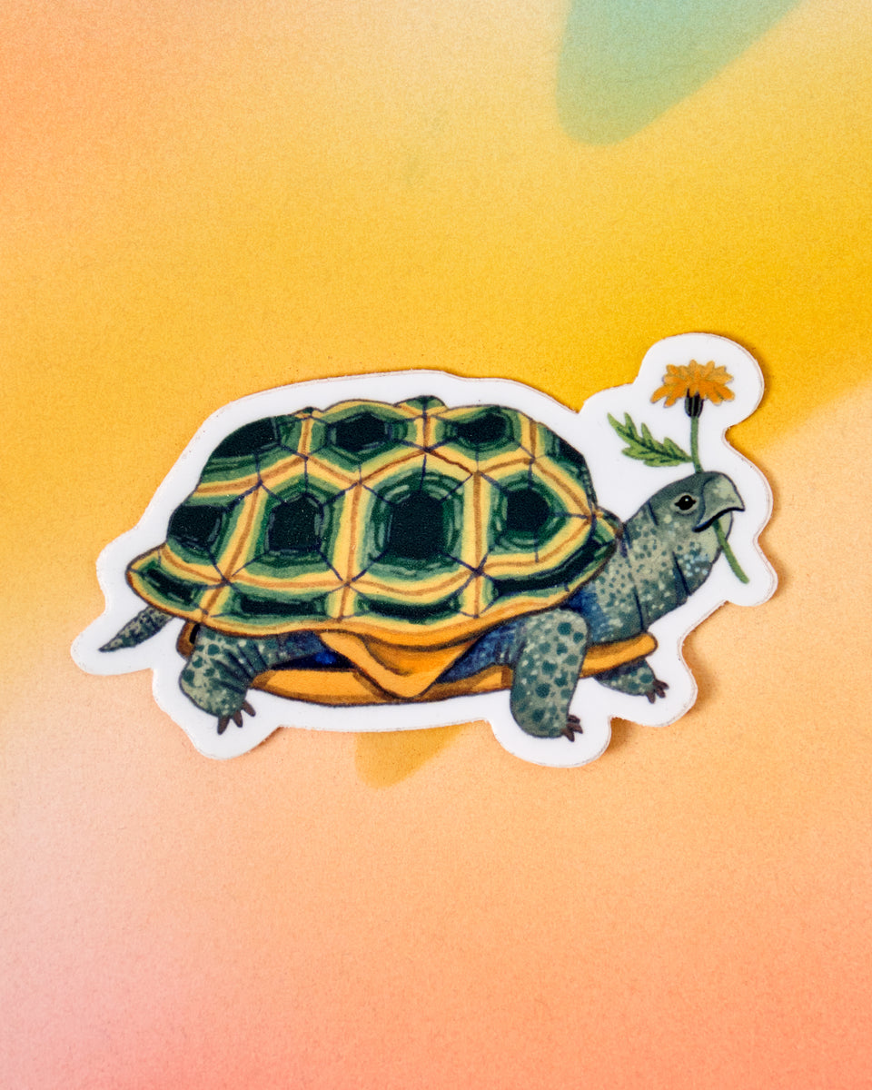 Turtle Sticker – Crush